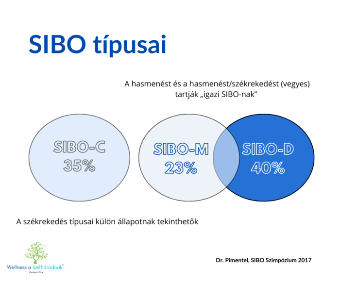 Sibo, Ibs sorozat 2.